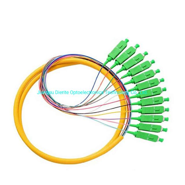 Sc APC Upc 12 Cord Fibers Multimode/Single Mode Optical Fiber Patch Cable Bunch Pigtail for Odfs and Splice Cassettes