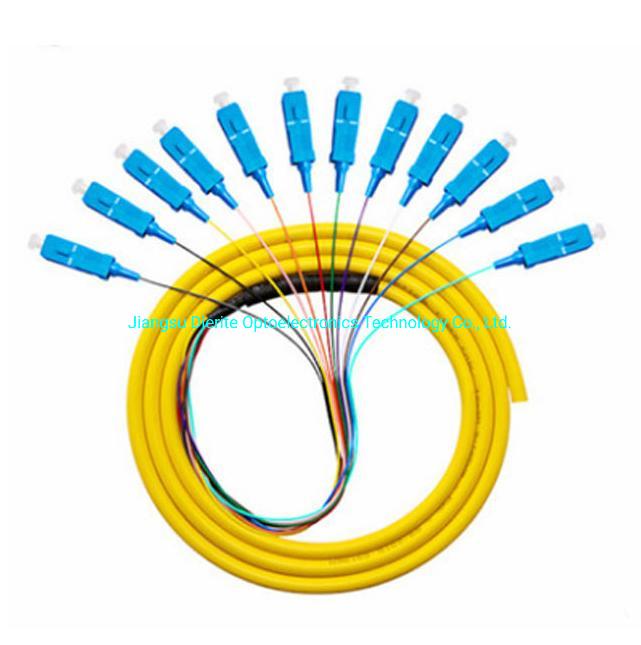 Sc APC Upc 12 Cord Fibers Multimode/Single Mode Optical Fiber Patch Cable Bunch Pigtail for Odfs and Splice Cassettes