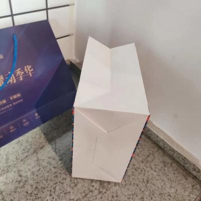 China Custom Luxury Gift Garment Paper Shopping Bags With Logo Print for sale