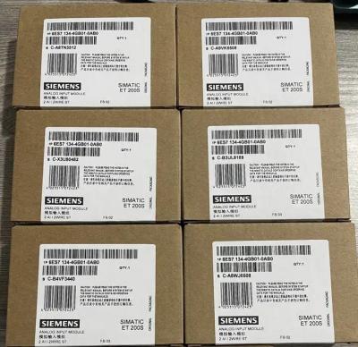 Cina 6ES7134-4GB01-0AB0 Siemens SIMATIC DP Modulo elettronico per ET200S Originale Nuovo in vendita