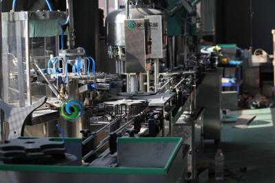 Cina Linea di riempimento della bevanda, macchina del riempitore della bottiglia dell'ANIMALE DOMESTICO del succo 500ml in vendita