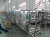 China Glass Bottle Beer Pasteurization for sale
