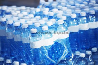 Cina Imbottigliatrice dell'acqua dello sterilizzatore 1000BPH dell'ozono in vendita