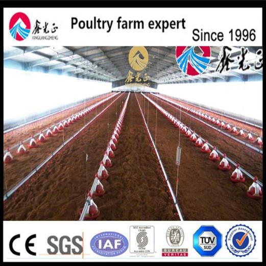 Quality Prefab Steel Structure Chicken House with Sandwich Panel Roof for sale