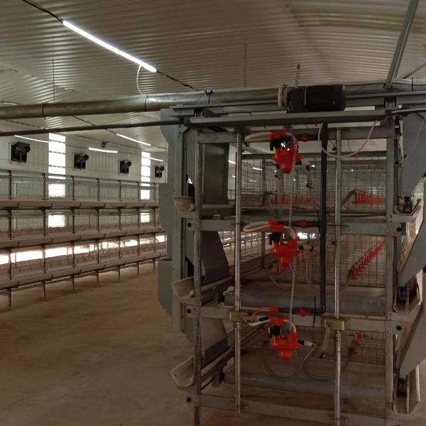 1950*350*380mm Poultry Laying Cage for Poultry Farm Advanced Technology