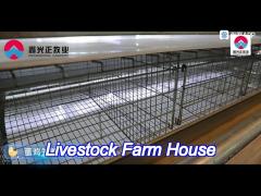 pre engineered livestock farm house chicken steel structure warehouse