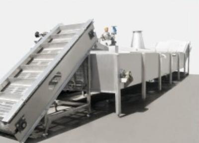 China Continuous Pre-Boiling Machine Fruit And Vegetable Blacher High Speed for Drink Equipment for sale