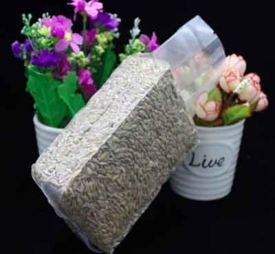 China Food grade storage heat seal plastic packaging food vacuum bag for sale