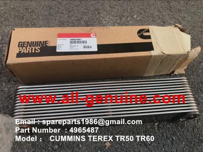 China ENGINE TEREX 4965487 CORE COOLER TR50 TR60 TR70 MINING OFF HIGHWAY TRUCK for sale