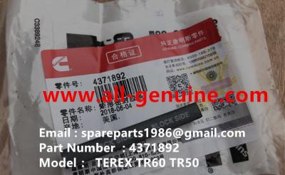 China CUMMINS 4371892 SEAL NHL DUMP TRUCK TR35 TR50 TR60 TR100 3305B 3305F 3303 3307 TR45 TR70 TEREX ALLISON UNIT RIG MT4400 for sale