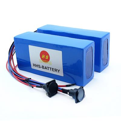 China Staubsauger-Batterie-Satz 48v 20ah zu verkaufen