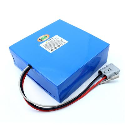 Cina motorino di Ion Battery For E del litio di 1000W Citycoco 60V 12Ah in vendita