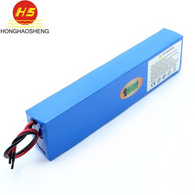 中国 充電器が付いているEtwow 24V HHS Eのスクーターのリチウム電池 販売のため