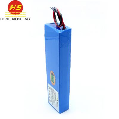 中国 充電器が付いているEtwow 24V HHS Eのスクーターのリチウム電池 販売のため