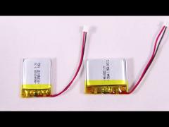 Lithium Polymer Battery