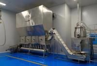 China Smart Control Variable Power Drying Industry Pharmaceutical Granulator Machine Easy Cleaning for sale