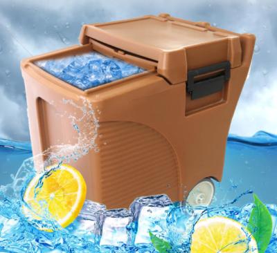 China Commerical Ice Caddy Plastic Ice Storage Cart Insulated Transport Ice Caddy With Wheels for sale