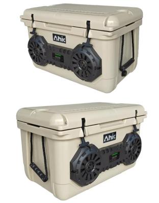 Cina 32 LBS 45L Box durable Hard Cooler con altoparlante Bluetooth integrato per avventure all'aperto in vendita