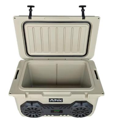 Cina 32 LBS 45L Box durable Hard Cooler con altoparlante Bluetooth integrato per avventure all'aperto in vendita