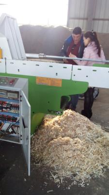 China Wood shaving machine at faactory price for sale