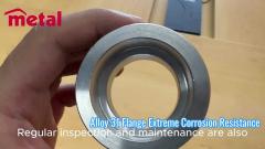 High Performance Alloy 31 Welding Neck Flange 150lb