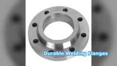 Welding Neck Flanges SS304 SS316 PN6