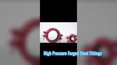 Heavy-Duty Forged Steel Pipe Fittings for High-Pressure Lines
