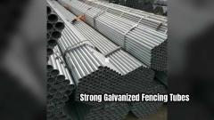 Galvanized Steel Tubes for Durable Fencing