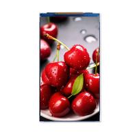 China 5 Inch IPS TFT LCD Display 720x1280 High Resolution MIPI Interface 450cd/m2 for sale