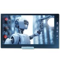 China 10.1 Inch Capacitive Touch Screen LCD Display 1024x600 LVDS 600 Nits for sale