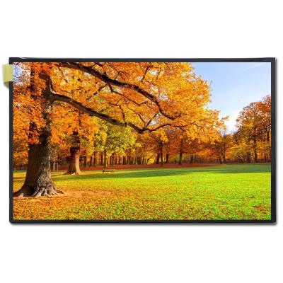 Cina 10.1 pollici IPS LCD Display 1280×800 Alta risoluzione AUO G101EAN02.1 schermo in vendita