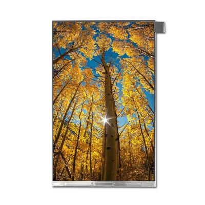 Cina 8 pollici 1200*1920 AUO A080STN01.0 IPS Display Panel in vendita