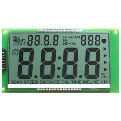 Cina Modulo LCD monocromatico su misura 0.6mm Dot Pitch With Backlight di LCM in vendita