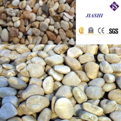 China Mixed Colour Pebble Stone Pebblestone and Landscape Stone for sale