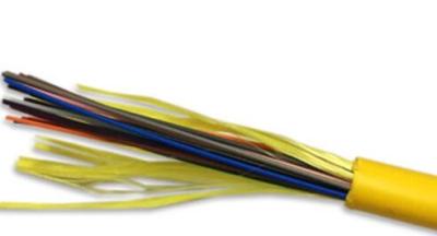 China A distribuição da fibra do PVC LSZH cabografa o diâmetro 8.5mm 24 manutenções programadas dos núcleos GJFJV-24B1 à venda