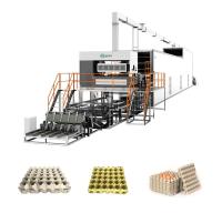 China Pulp Egg Tray Molding Machine Automatic Using Recycling Waste Paper for sale