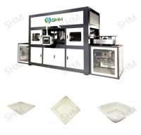 China Tableware Molded Pulp Machine Equipment Fully Automatic For Disposable Dish line for sale