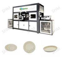 China Paper Tray Forming Machine Pulp Food Container Making Machine for sale