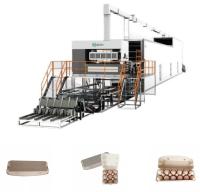 China Best Waste Paper Egg Tray Making Machine Egg Tray Maker Automatic for sale