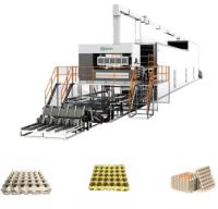 China Rotary Egg Tray Making Machine OEM Paper Pulp Moulding Machine CE for sale