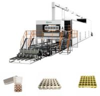 China Paper Tray Making Machine Pulp Molding Egg Tray Machine for sale
