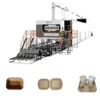 China High Capacity Paper Cup Making Machine Customized With Metal Drying Line for sale