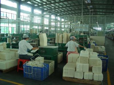 China 500 KG TPD Kapazität geformte Zellstoffmaschine Optional in Form oder Metalleisen Trocknungslinie Ideal für kleine Zellstoffformproduktionslinie zu verkaufen