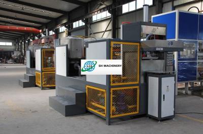 China Sicherheit Erste doppelte Schaukel-Arme in der kleinen Zellstoffformungs-Produktionslinie für die Produktion von geformten Fasern zu verkaufen