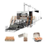China Customized Paper Pulp Tray Making Machine Molded Pulp Packaging Production Line for sale