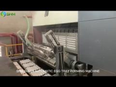 Duurzaam Volledig Automatisch Eierenbakmachine Eierenkartonmachine