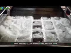 Última máquina de moldagem de pasta de papel de bagaço totalmente automática