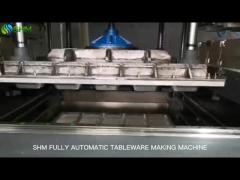 Máquina de moldagem de bandejas de papel Máquina de fabricação de recipientes de alimentos para celulose