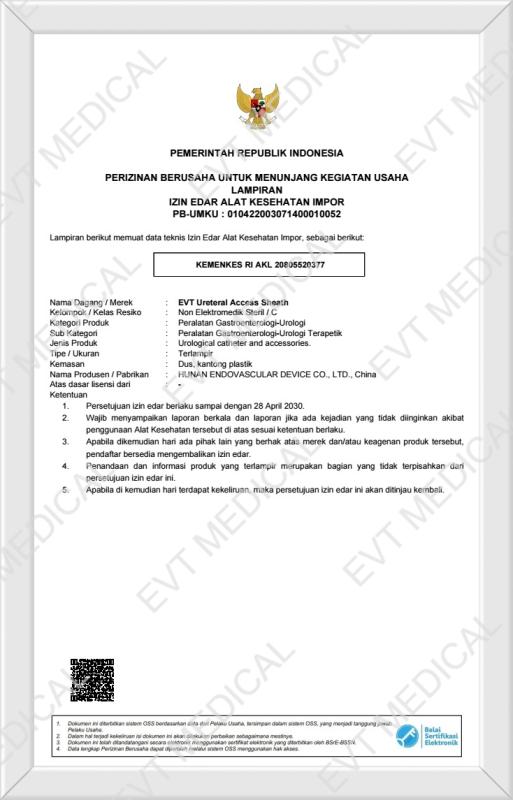 lzin Distribusi Alat Kesehatan - Hunan Endovascular Device Co., Ltd.
