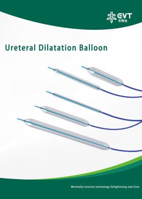 China Easy Operation Ureteral Balloon Smooth Insertion CBD Balloon With Inflation Device for sale